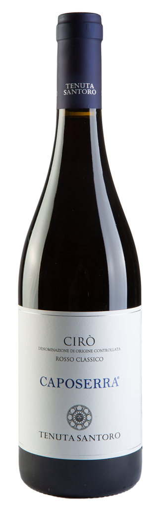 Home - Tenuta e Cantina Santoro